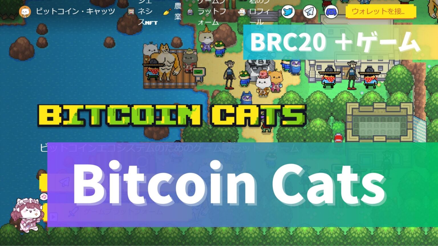 【BRC-20】Bitcoin Catsとは？新機能もあるゲームプラットフォーム！買い方まで解説！ | NFTゲーム大学