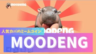 【仮想通貨】MOODENG(ムーデン)とは？魅力や買い方を解説！カバ×ミームコイン！ | NFTゲーム大学