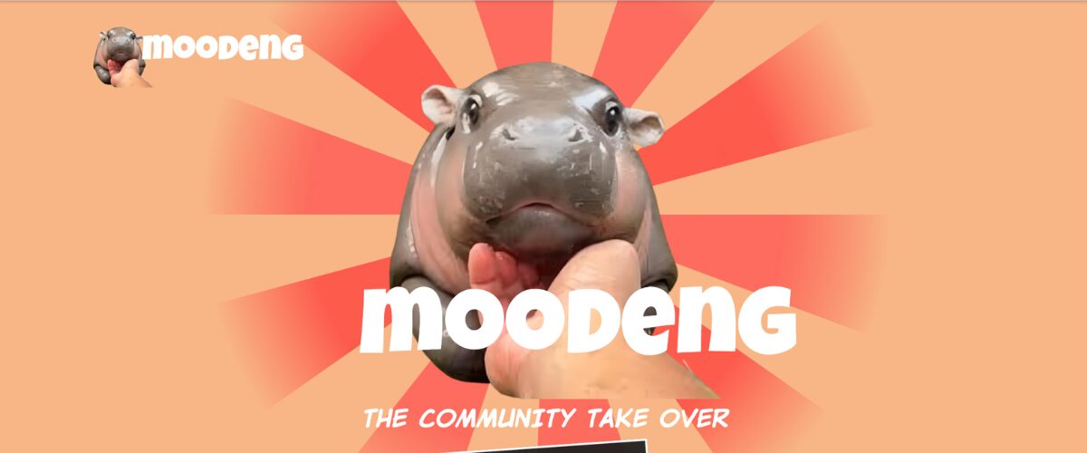 【仮想通貨】MOODENG(ムーデン)とは？魅力や買い方を解説！カバ×ミームコイン！ | NFTゲーム大学